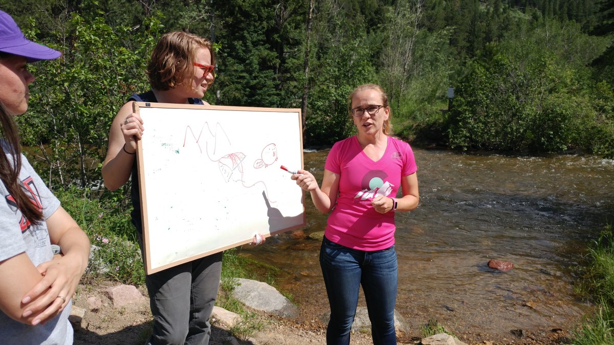 Teaching – Emily Fairfax, Ph.D