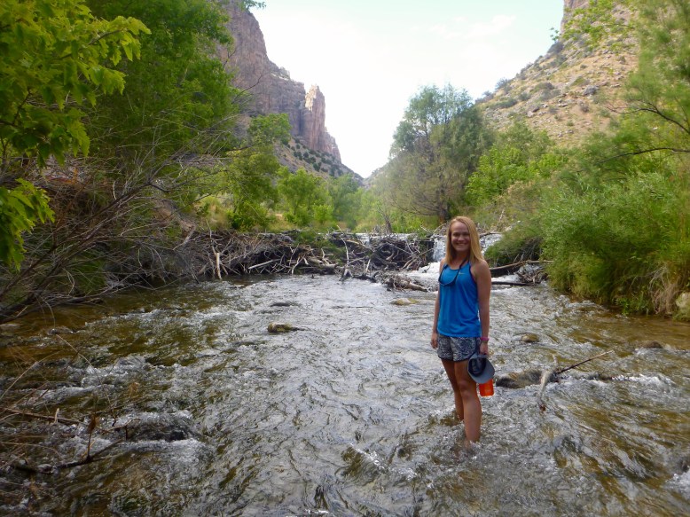 Training – Emily Fairfax, Ph.D