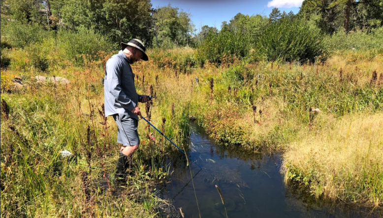 Mentoring – Emily Fairfax, Ph.D