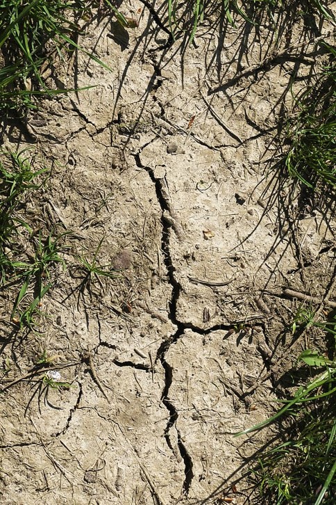 Research – Emily Fairfax, Ph.D