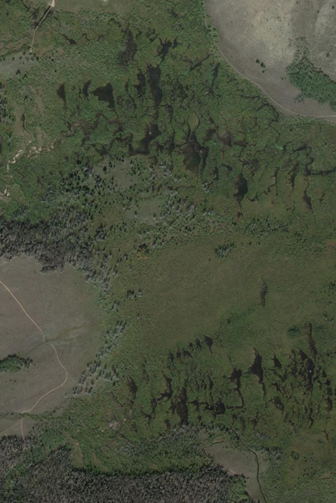 Research – Emily Fairfax, Ph.D