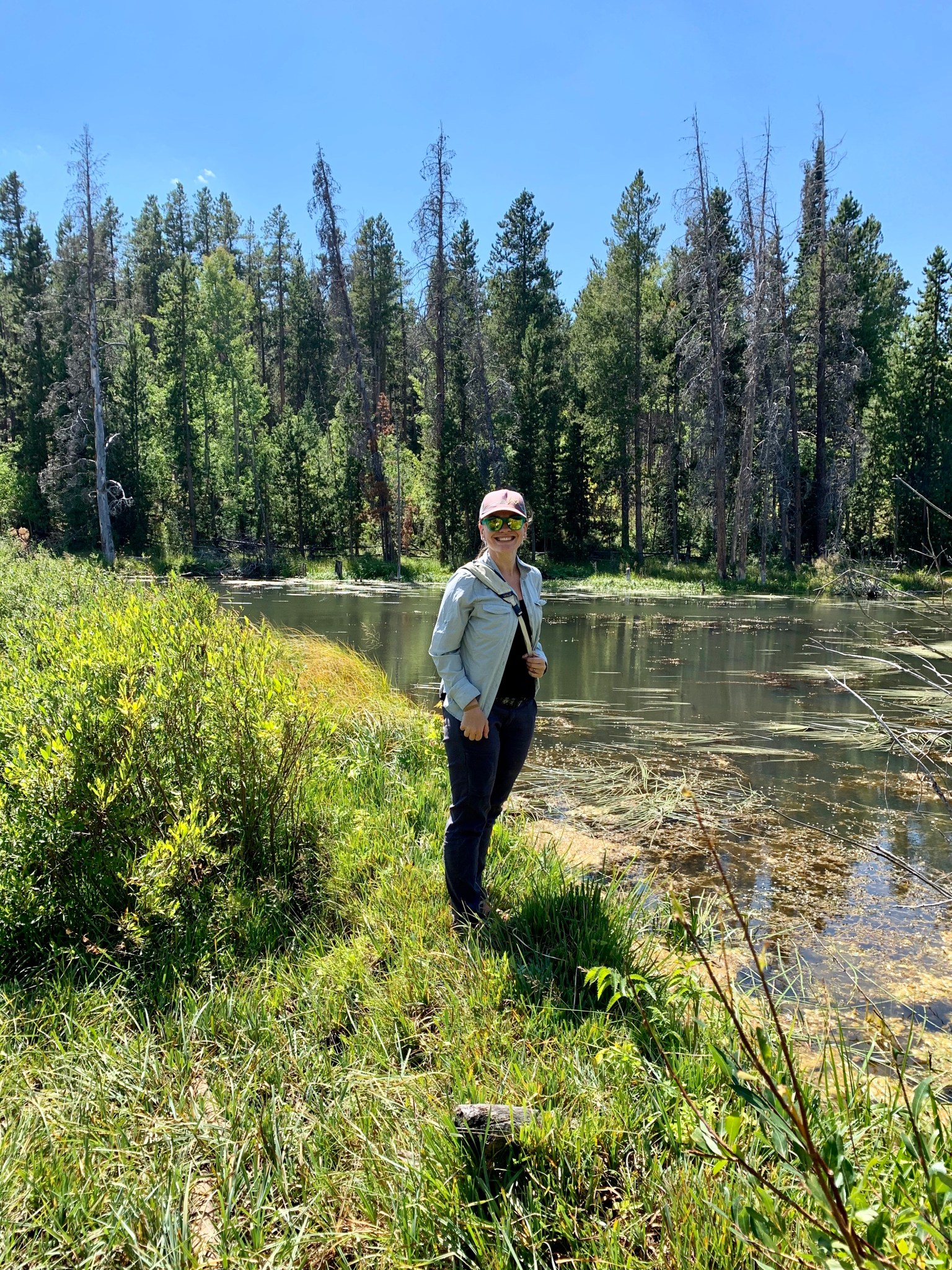 Identifying Beaver Dams with Remote Sensing – Emily Fairfax, Ph.D