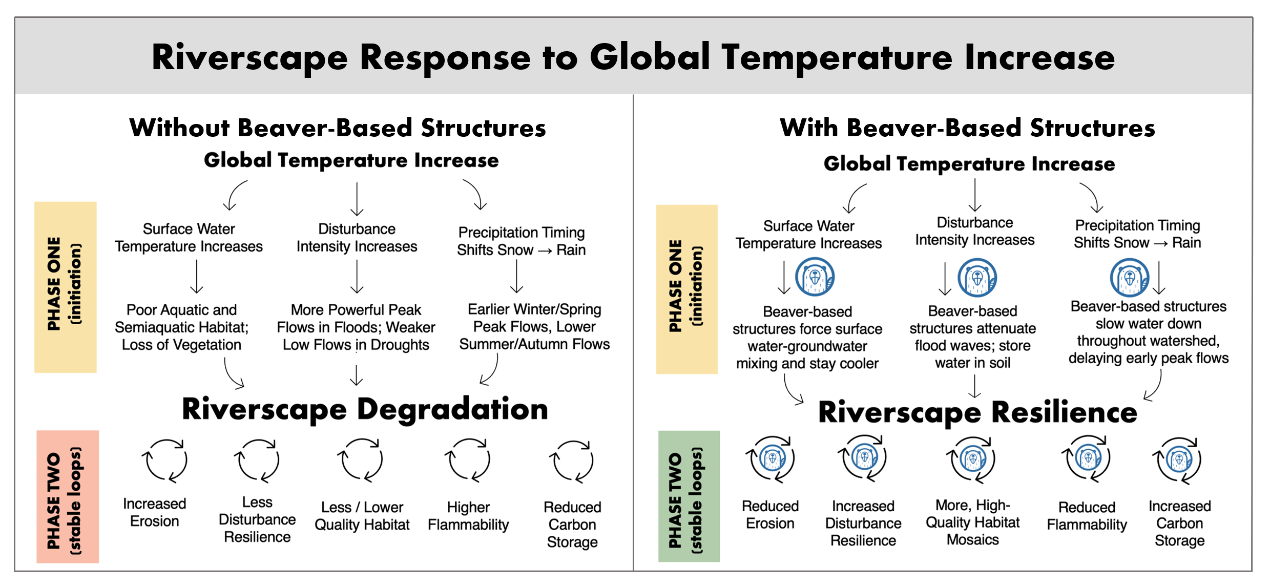 Beavers as Climate Mitigation and Adaptation – Emily Fairfax, Ph.D