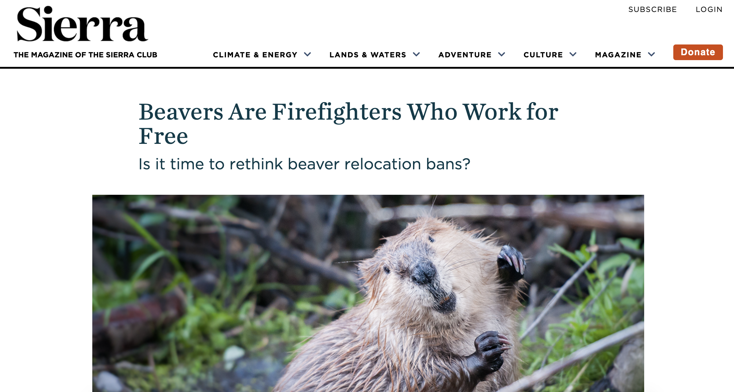 Media Coverage – Emily Fairfax, Ph.D