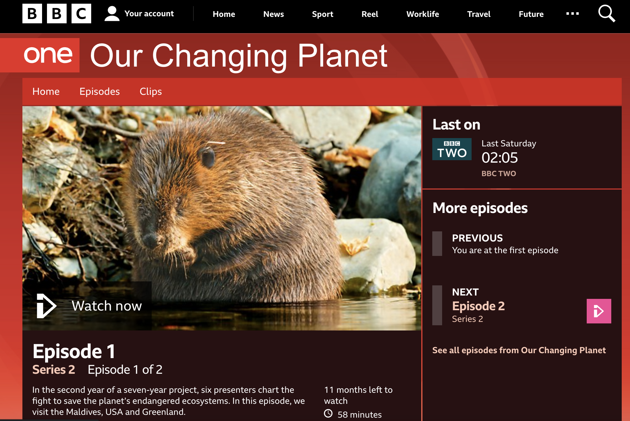 Media Coverage – Emily Fairfax, Ph.D